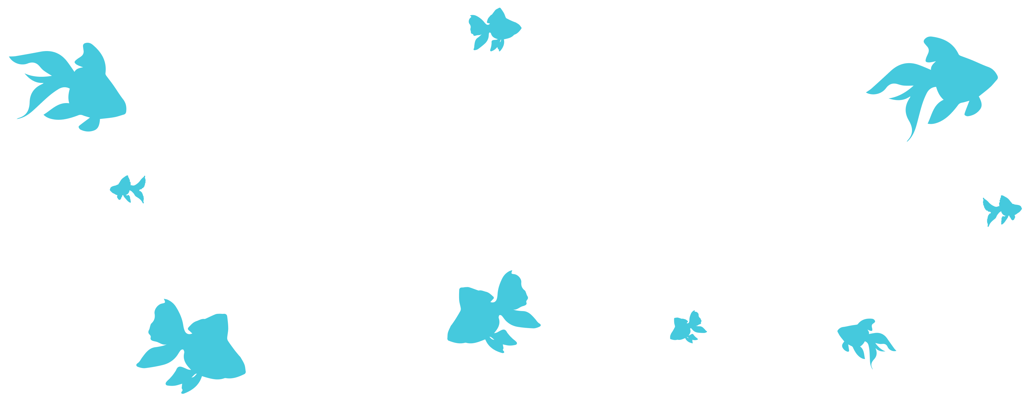 fish-bg – SOS Animal