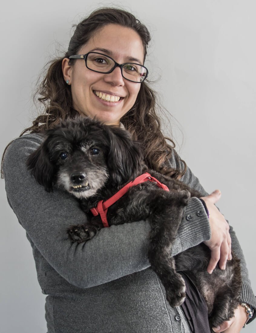 SOS Animal | A nossa equipa